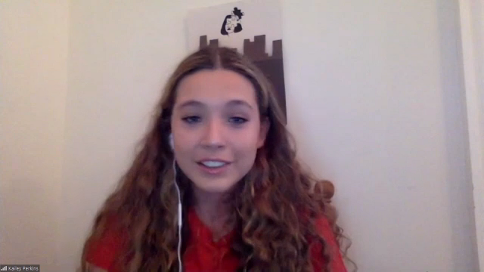 ABC7 Unite: 17-year-old Kailey Perkins teaches business lessons to ...
