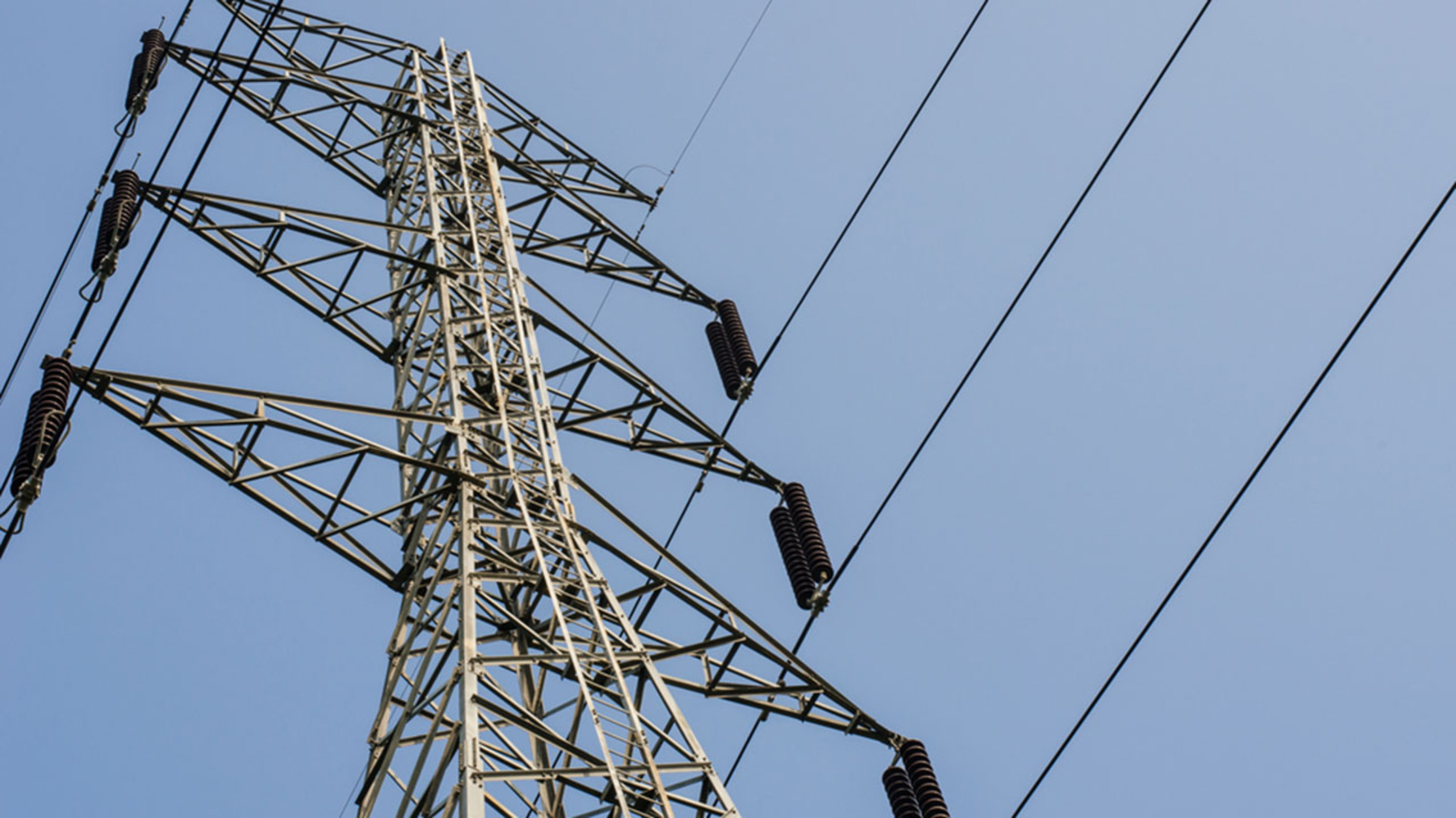 Over 1,000 Wake Forest customers without power, squirrel damages ...