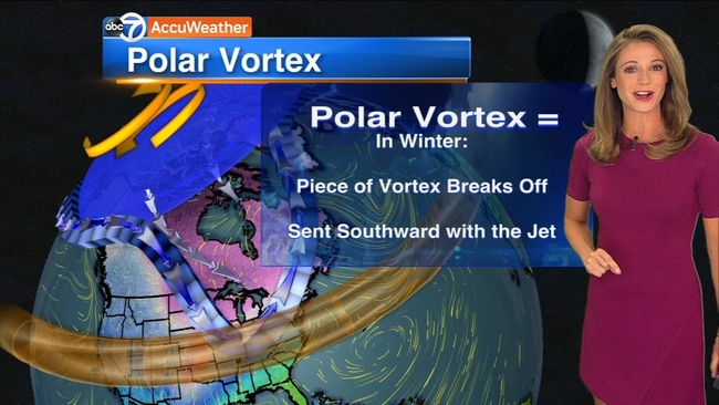 Cheryl Scott - ABC 7 Chicago Meteorologist - ABC7 Chicago