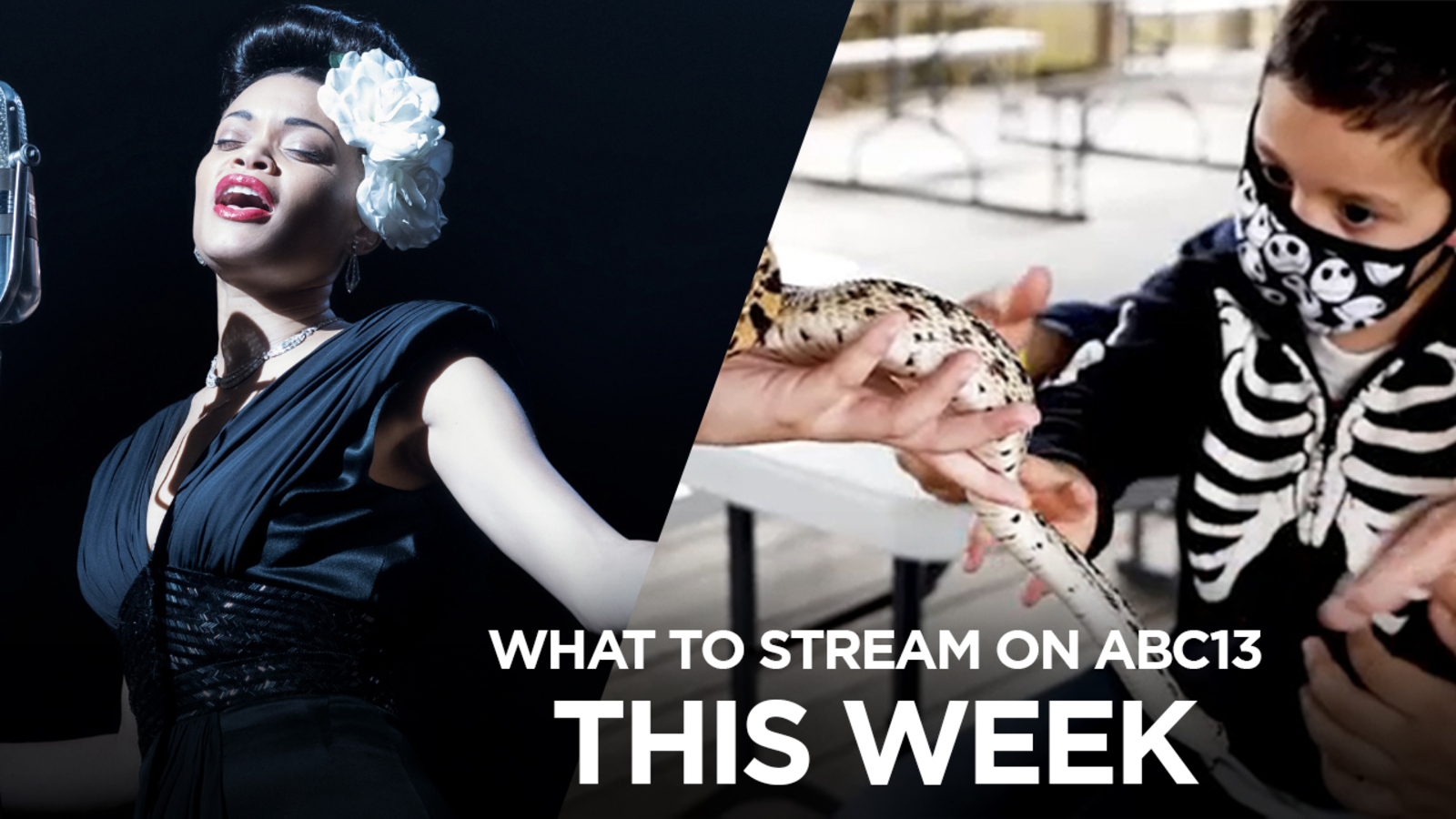 What to stream free this week on ABC13's apps for Roku, Amazon Fire TV ...