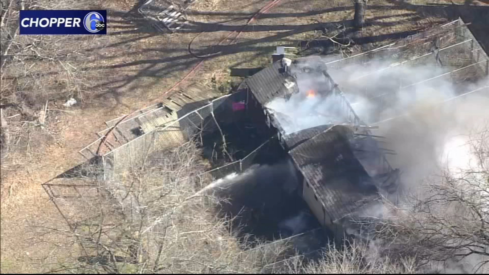 No animals hurt when kennel catches fire in Shamong Township, New ...