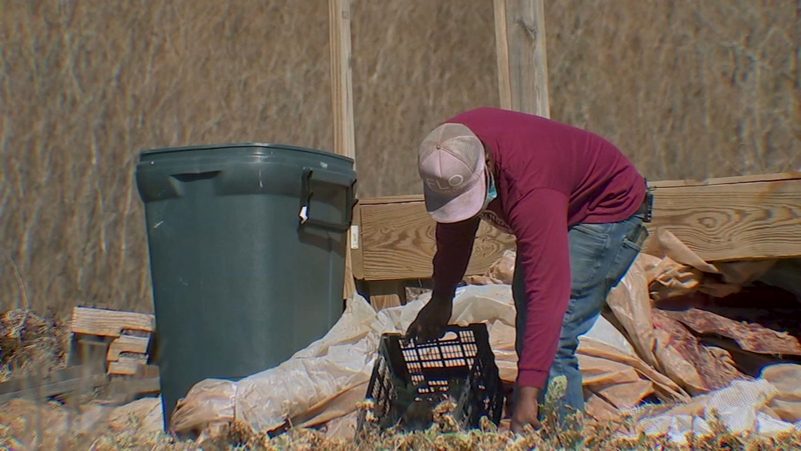 Black farmers say decades of discriminatory practices by USDA forced ...