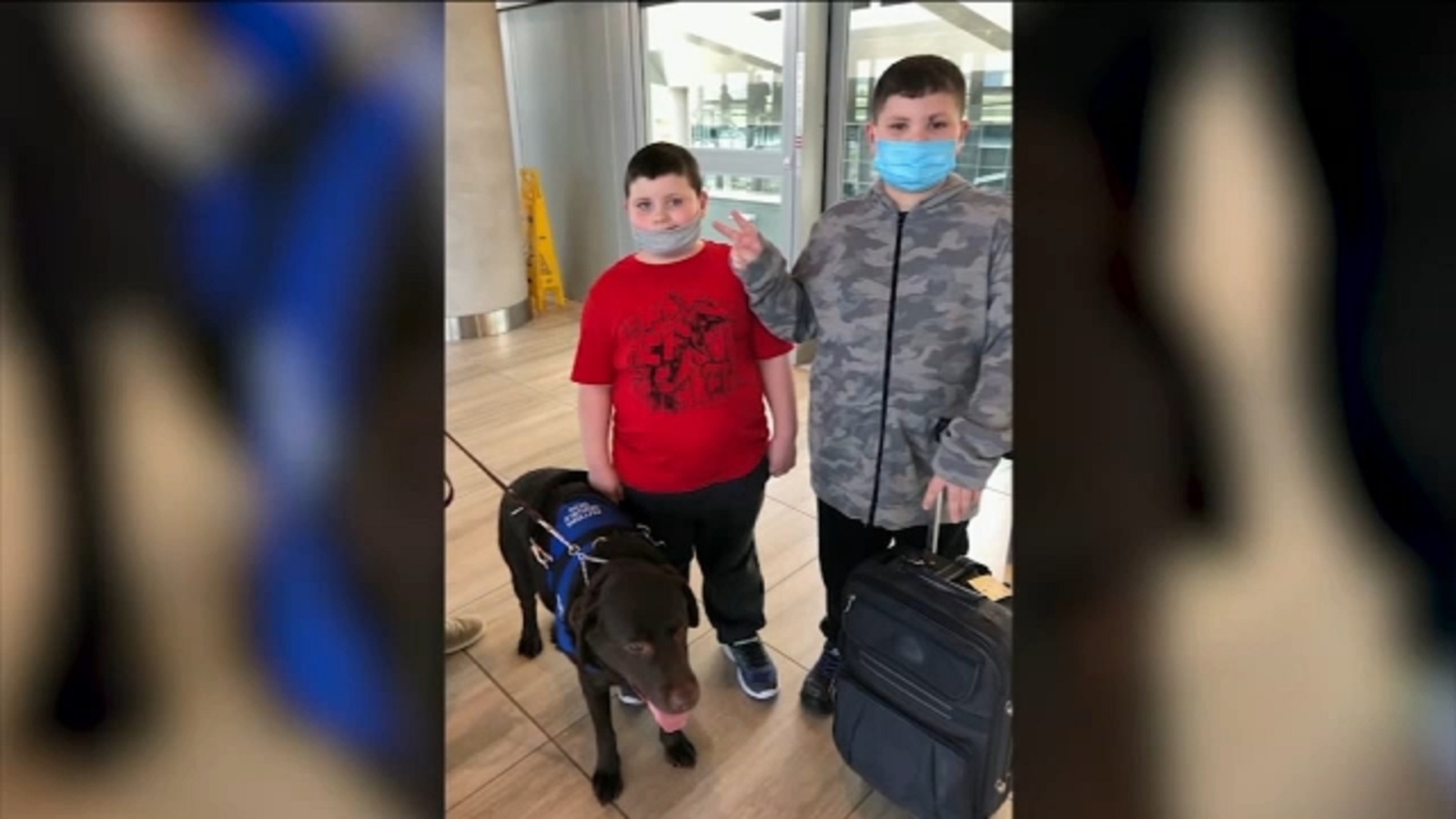 How a dog is changing the world for a 7-year-old boy with autism - ABC7 ...
