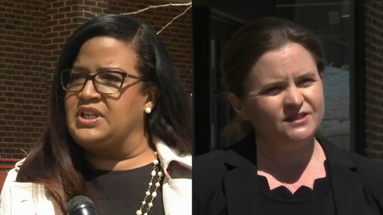 Flossmoor election: Lakshmi Emory, Michelle Nelson vie to make history ...
