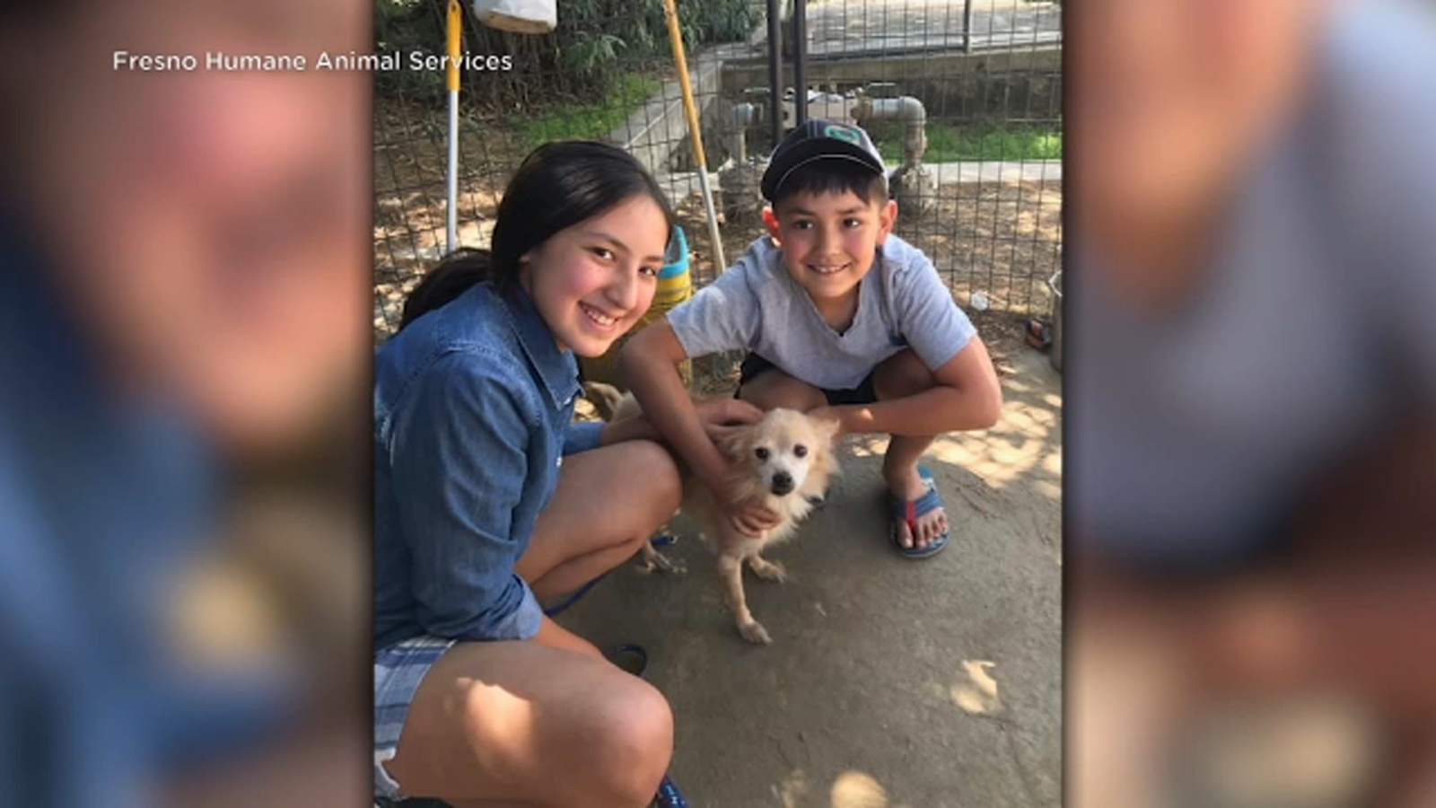 Sanger family reunites with dog after three years - ABC30 Fresno