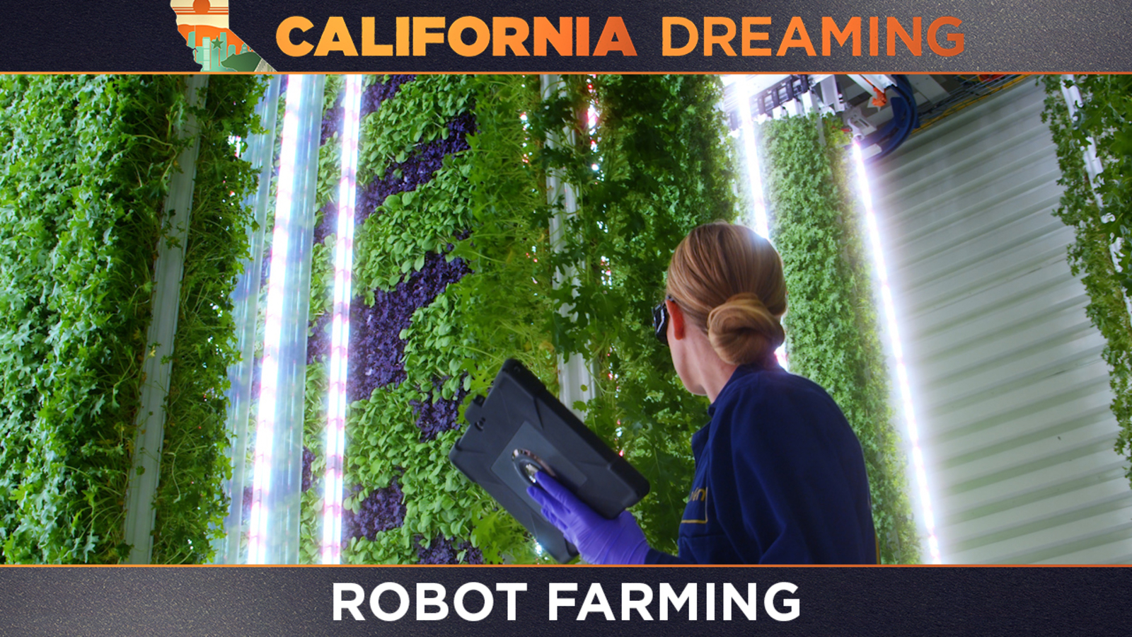 California Dreaming: Artificial intelligence and robots are helping ...