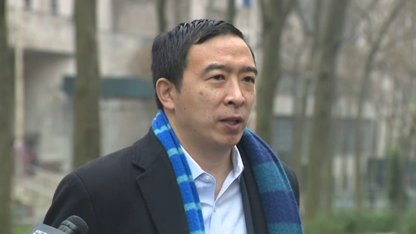 New Twitter video triggers backlash to Andrew Yang's candidacy for NYC ...