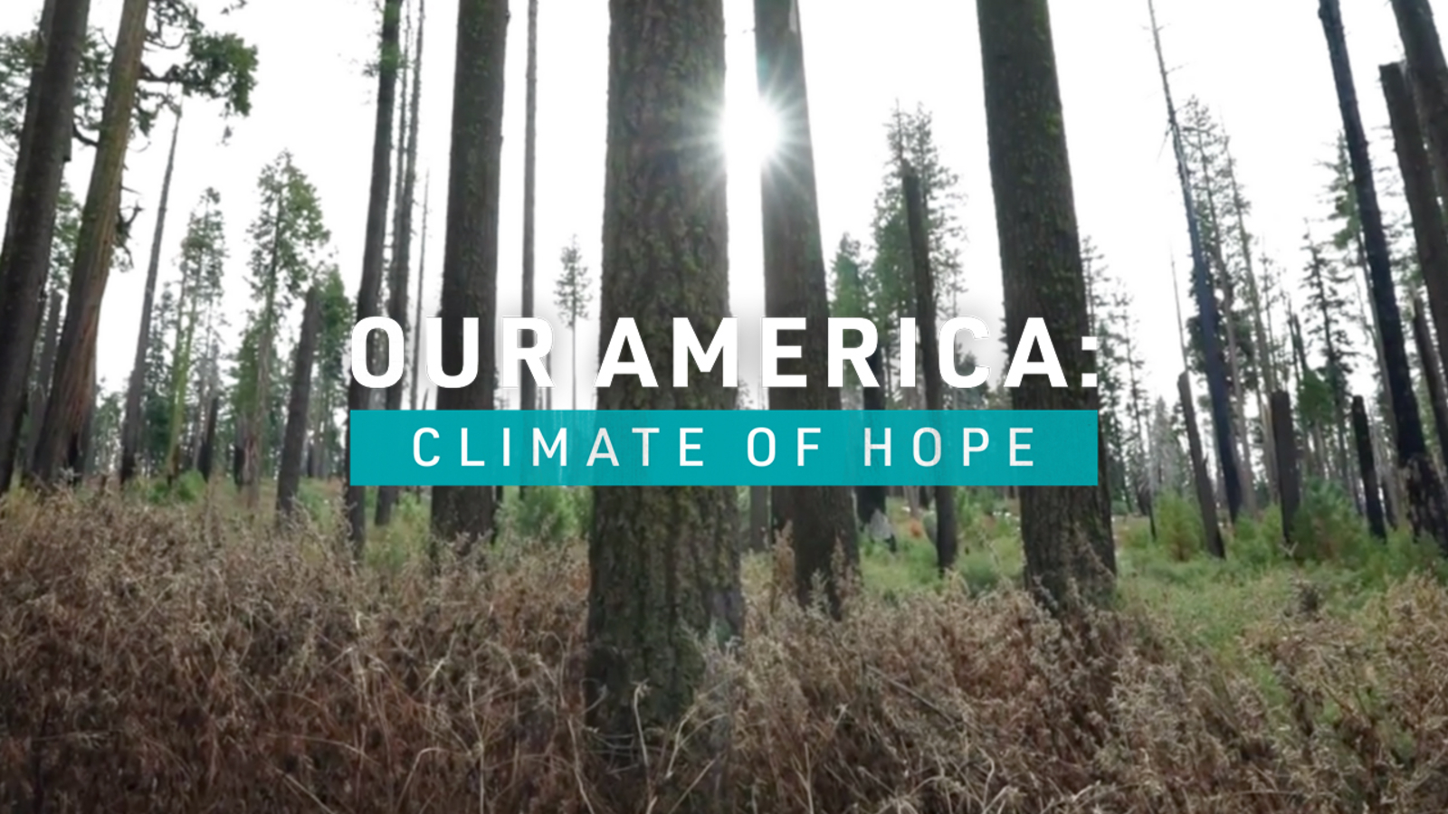 Amid perils of climate change, there are reasons for hope | Our America ...