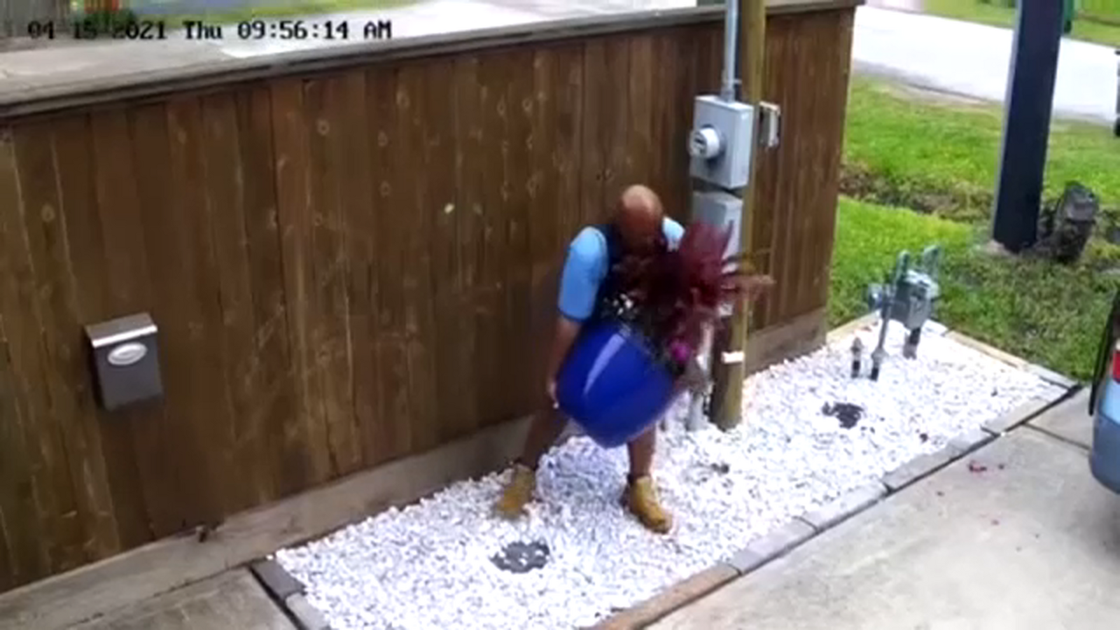 Plant thief caught on camera seen targeting Shady Acres - ABC13 Houston