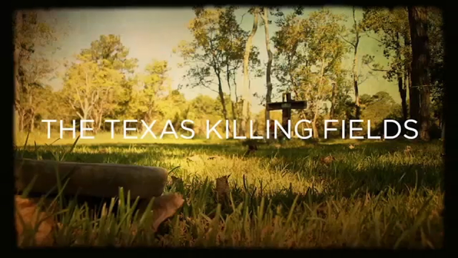 Unsolved: ABC13's Courtney Fischer's cold case series now streaming on ...