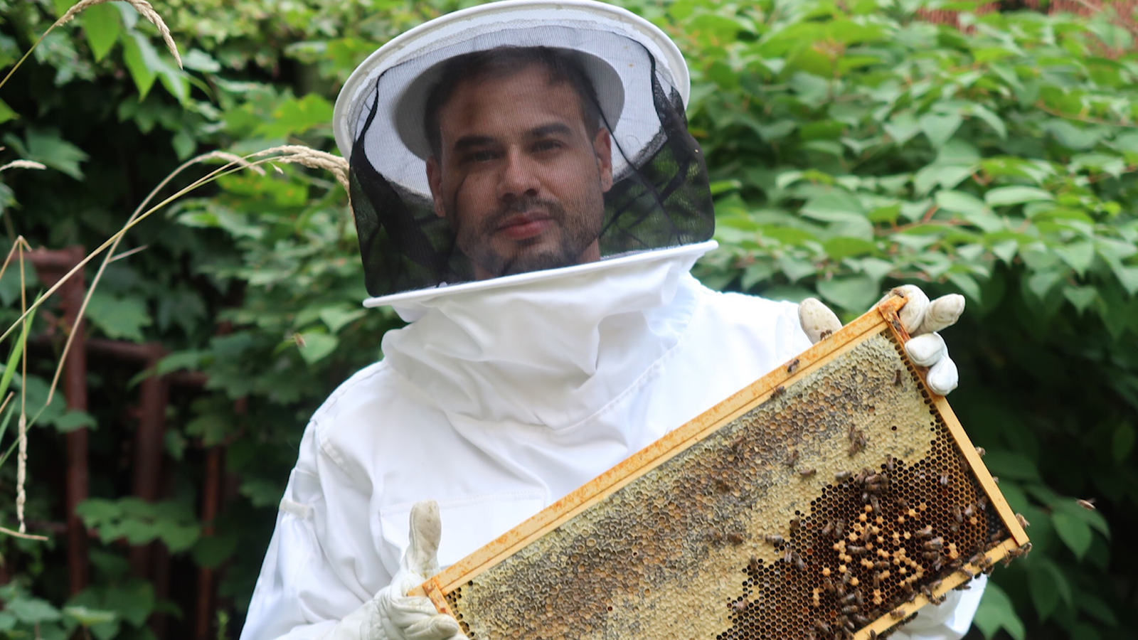 Brooklyn's BEEPUBLIC is saving the bees one coffee at a time - ABC7 Los ...