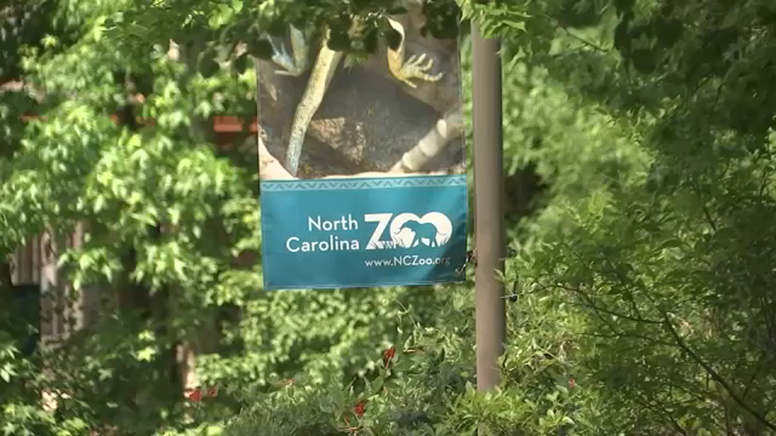 NC Zoo expansion: Here's when the NC Zoo could break ground on new Asia ...