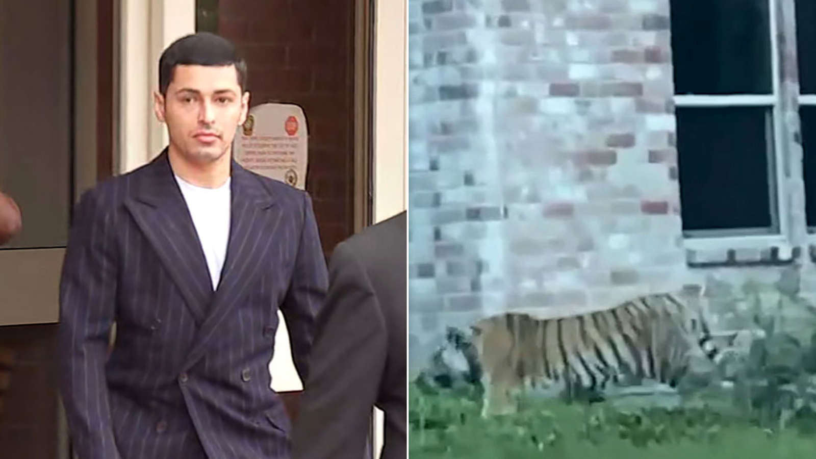 Accused murderer Victor Cuevas getting death threats from tiger's ...