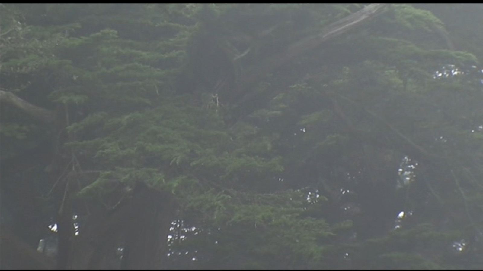 Clammy, damp, cool weekend ahead for Bay Area with chance of drizzle ...