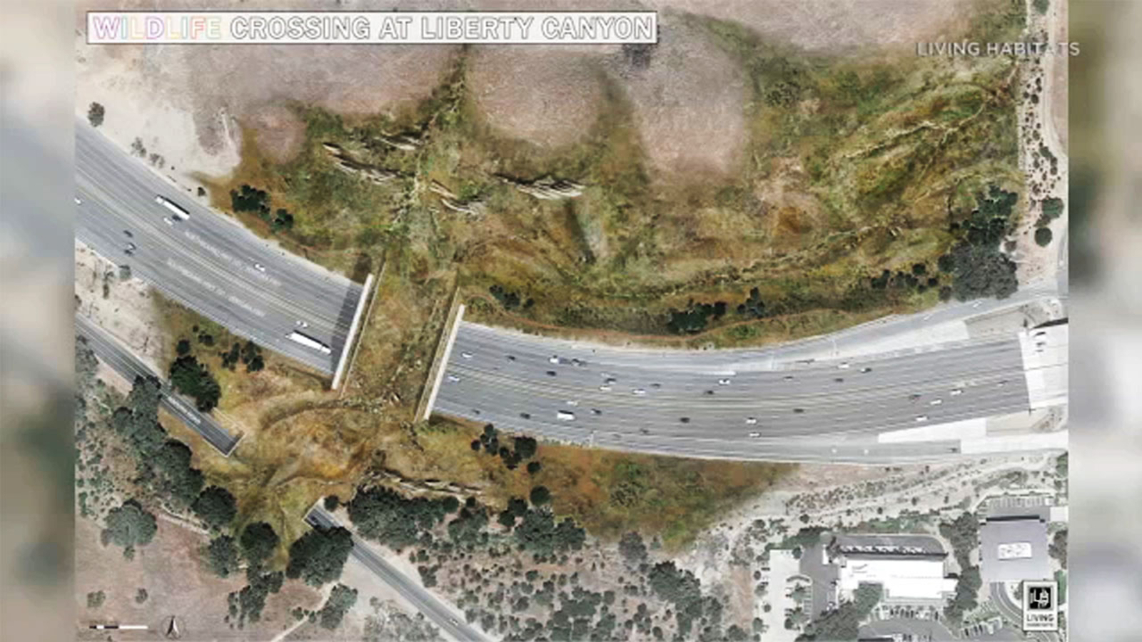 Official design revealed for wildlife crossing over 101 Freeway to save ...