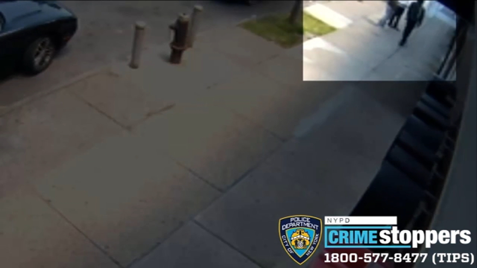 Man Randomly Sucker Punched In Fresh Meadows Queens Abc7 New York