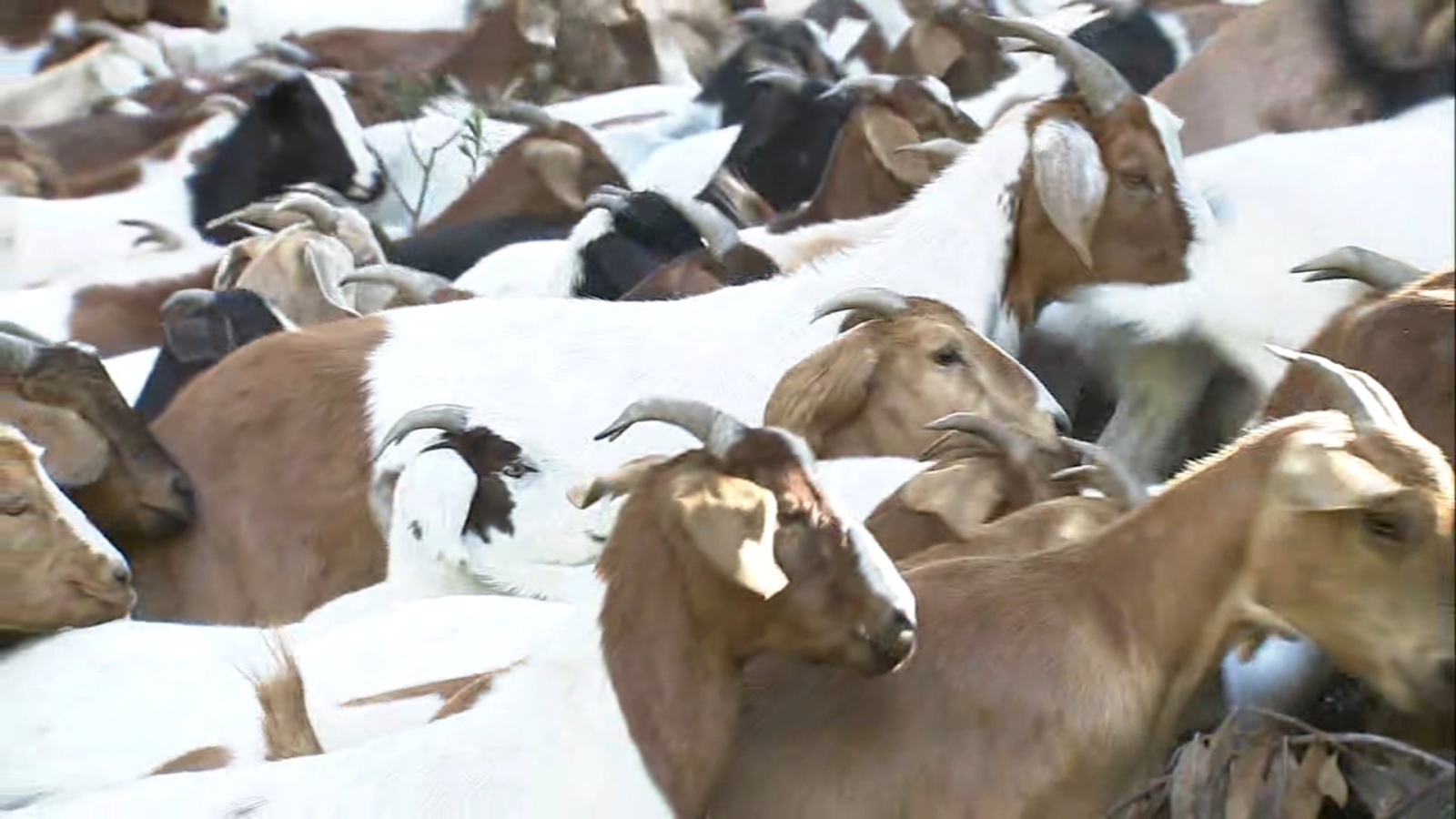 May fires sign of early, dangerous fire season; prevention efforts ...