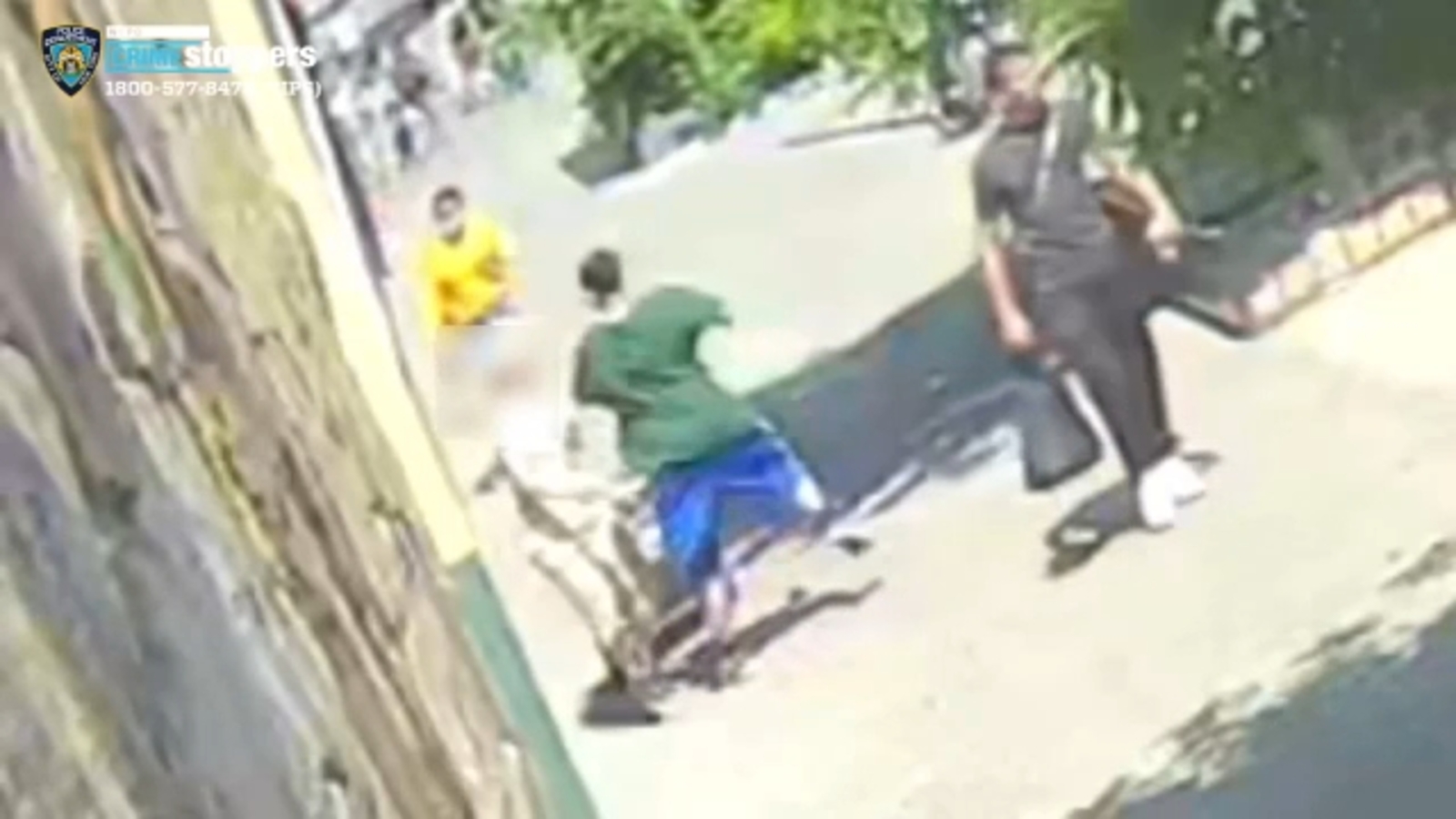 Video 75 Year Old Asian Woman Punched In Unprovoked Attack Abc7 New York