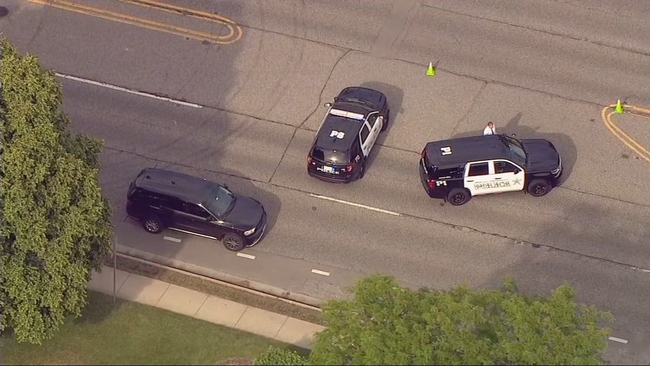 Mount Prospect hit-and-run crash: Man in wheelchair on way to see ...