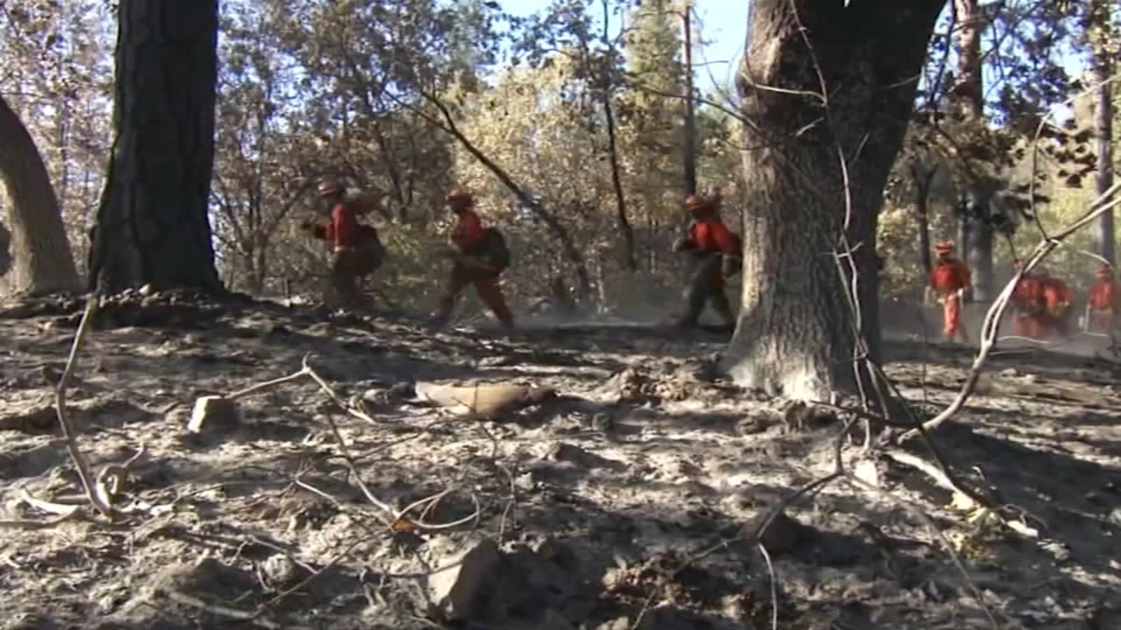 CAL FIRE inmate fire crews cut by more than half, reducing critical ...