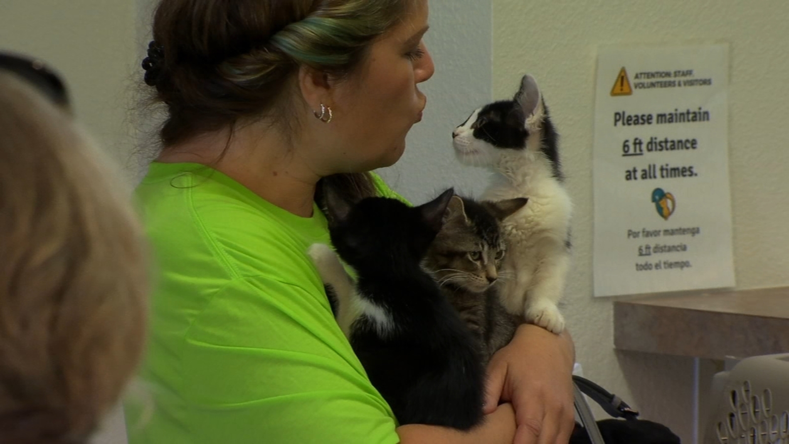 Central California animal rescue shelters team up for Super Adoption ...