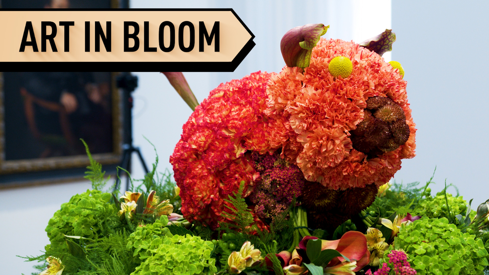 Art in Bloom - ABC11 Raleigh-Durham