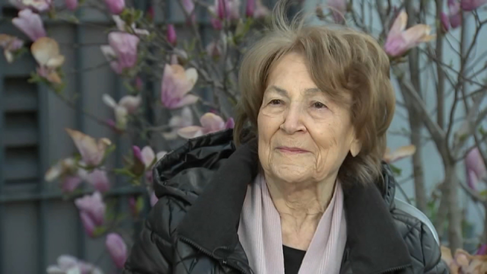 Illinois Holocaust Museum President, Auschwitz Concentration Camp ...