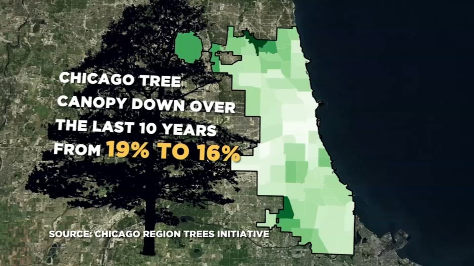 Chicago tree canopy dwindling; calls for equity, tree planting in ...