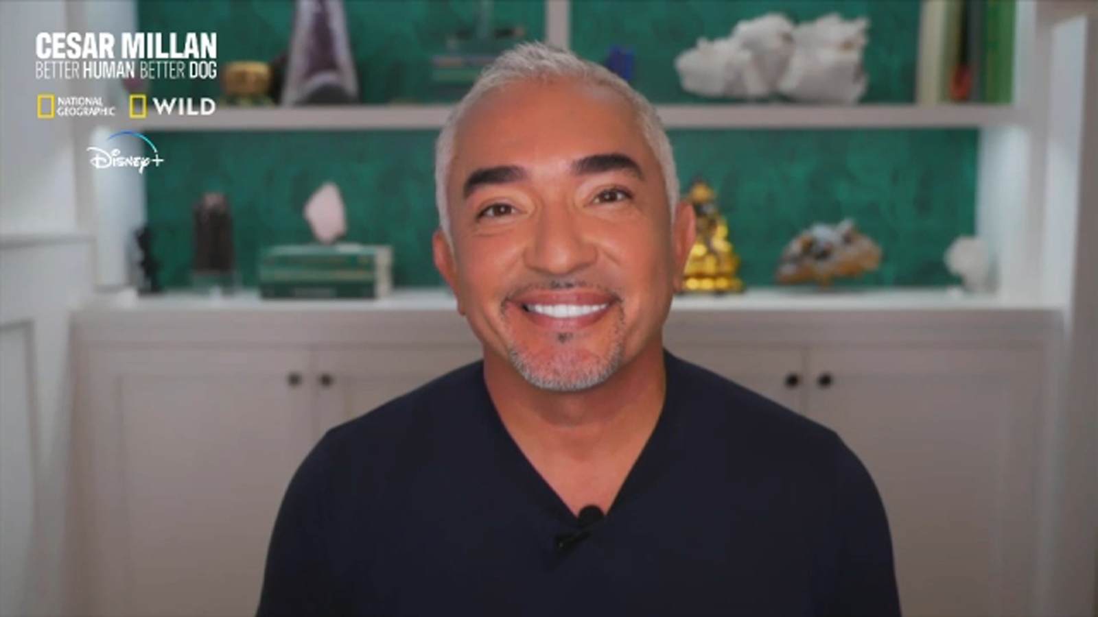 Cesar Millan talks about new National Geographic show 'Better Human ...