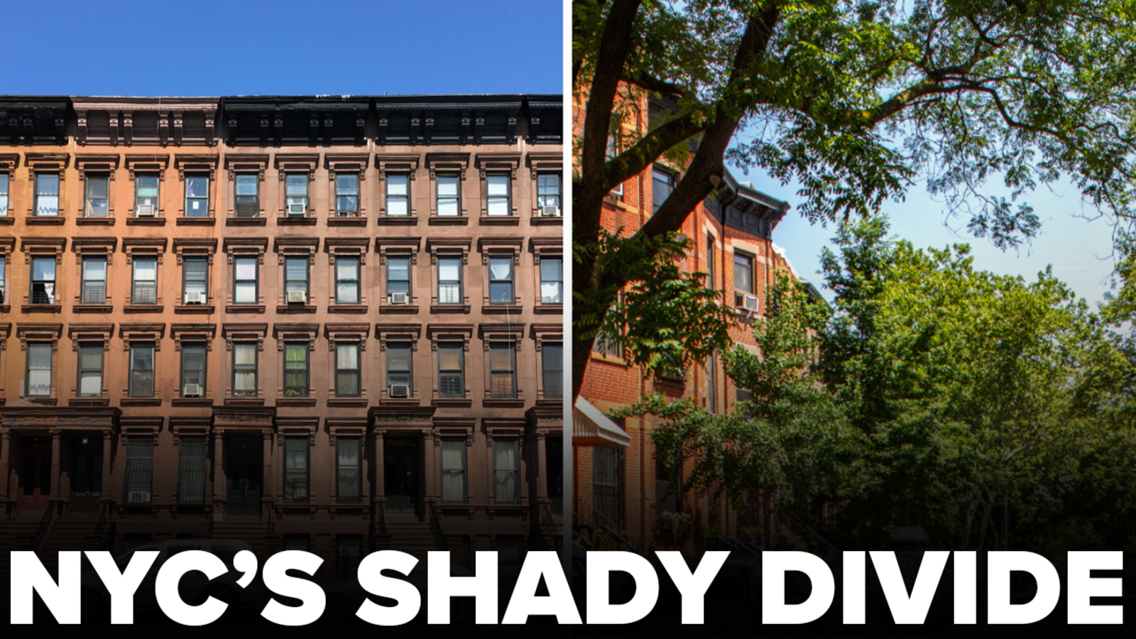 Shady divide: Lack of shade shines light on inequality in a warming ...