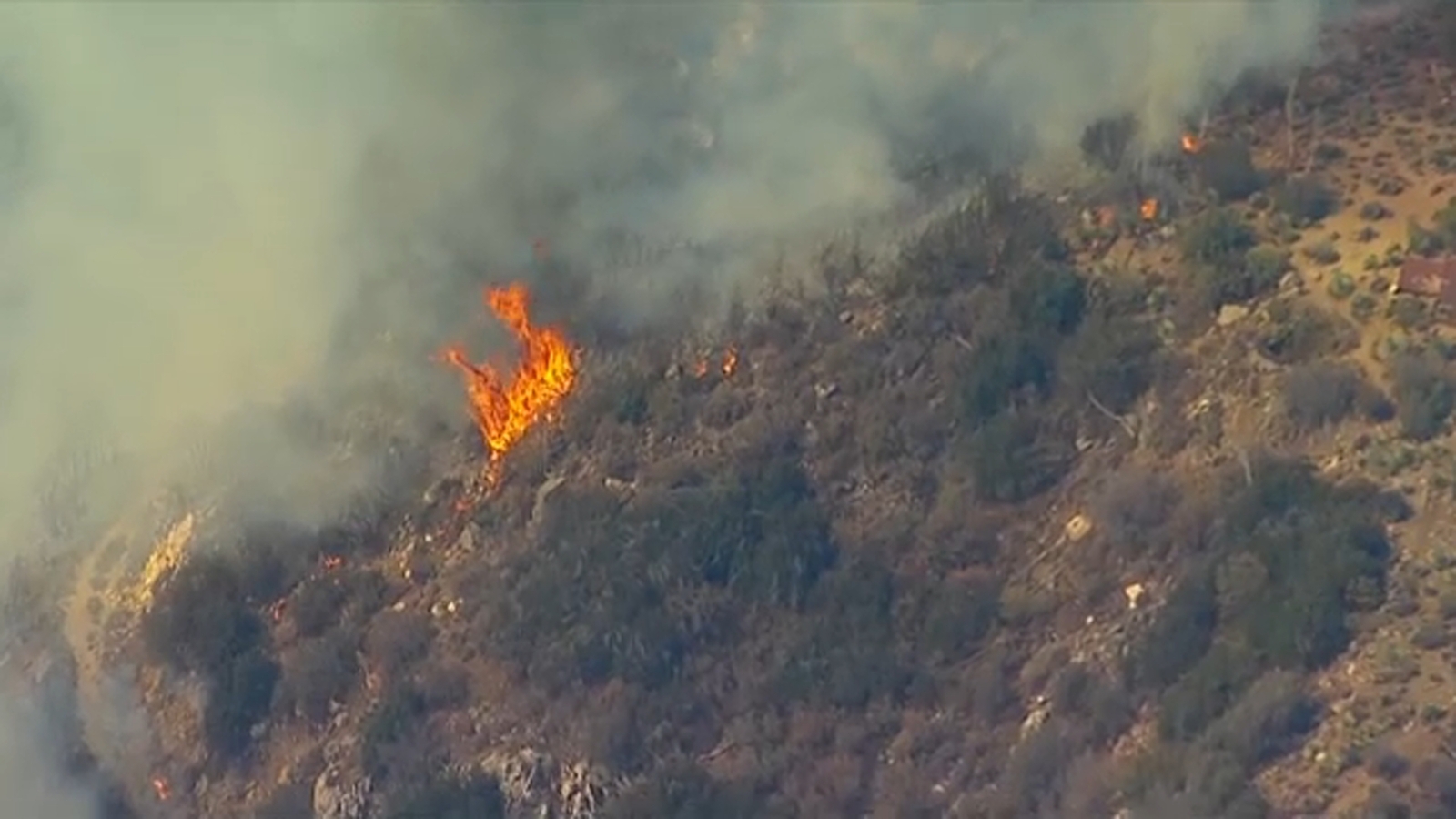 Firefighters battling 50-acre brush fire in Angeles National Forest ...