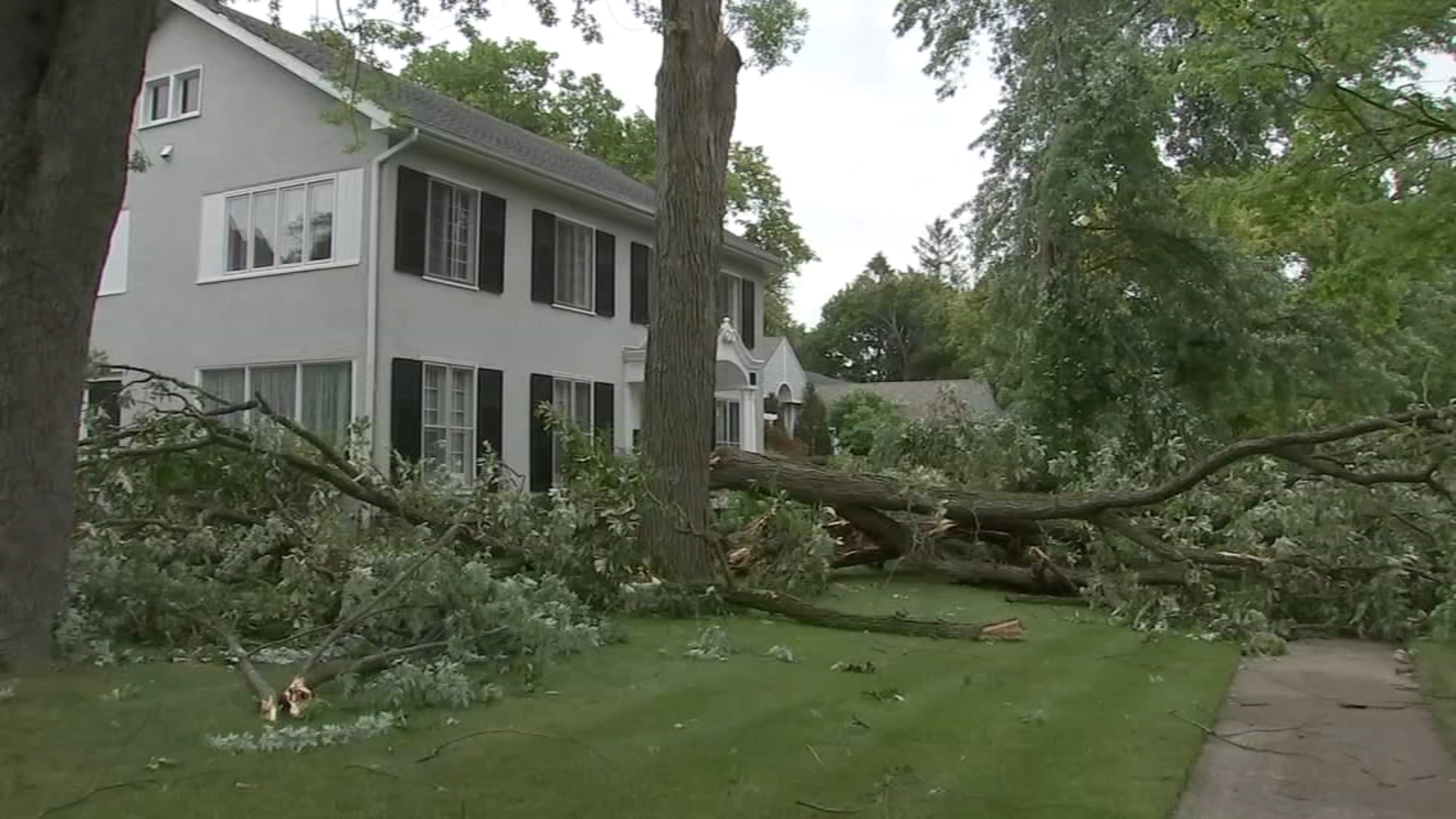 Chicago Weather: ComEd outages, downed trees and damaged houses ...