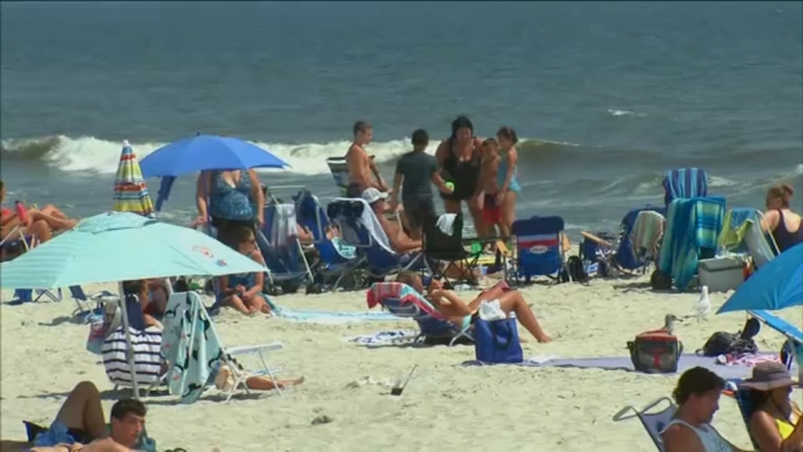 Long Island sharks: Spotting closes Lido Beach, marks 20th confirmed ...