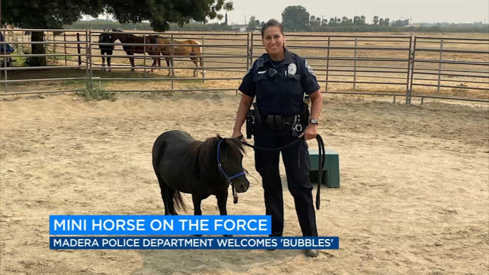 Meet the newest Madera police employee - Bubbles! - ABC30 Fresno