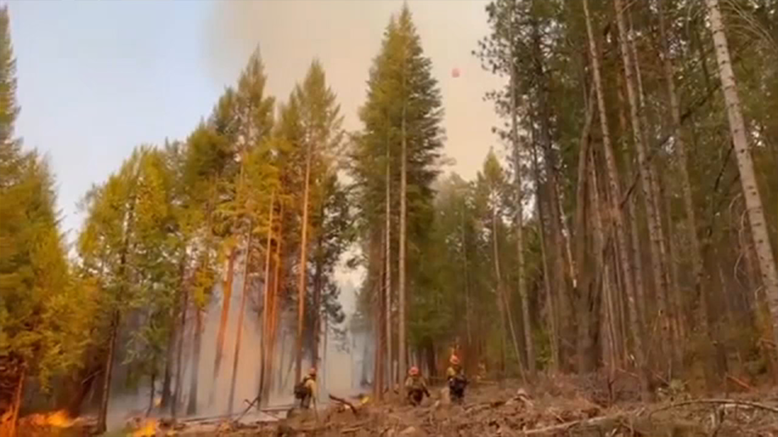 Caldor Fire: Local firefighters help battle massive wildfire burning near Lake Tahoe: VIDEO ...