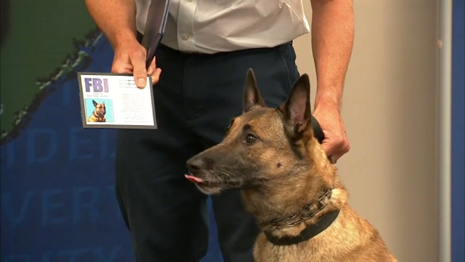 FBI K-9 Roxy gets special retirement party after years of service ...