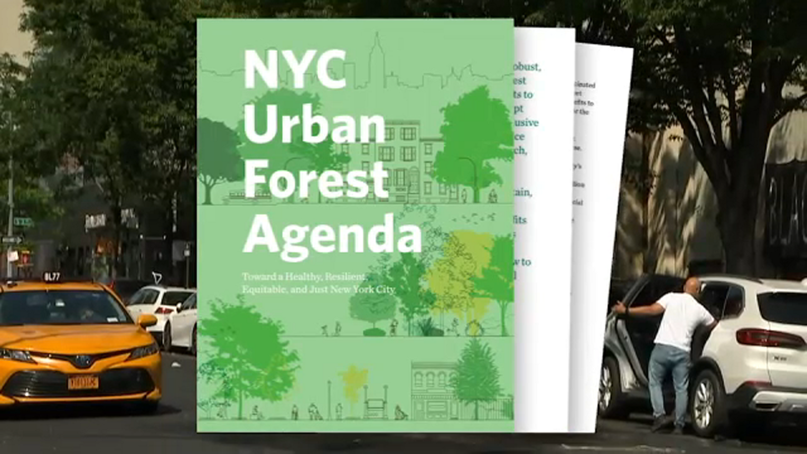 Renewed effort in NYC to fight shade inequality - ABC7 New York