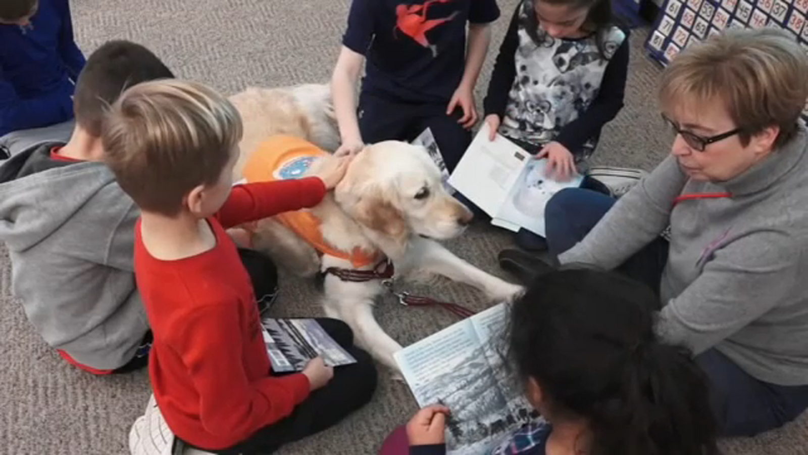 Roxy Therapy Dogs uses therapy dogs to bring kids comfort - 6abc ...