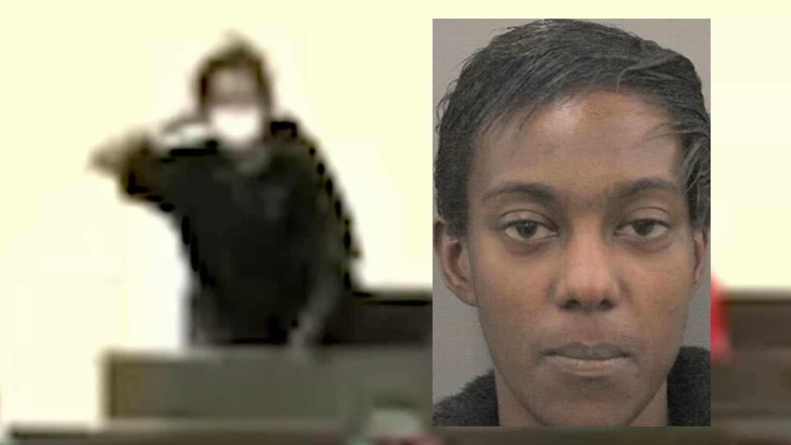 Felisha Washington, woman out on murder bond, accused of stabbing ...