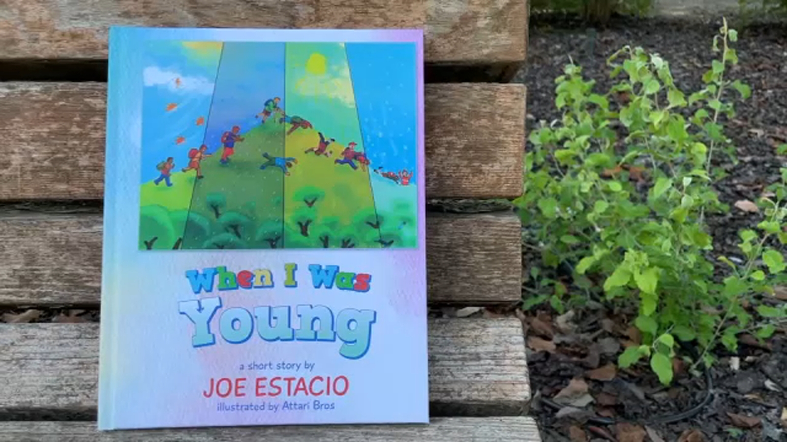 Clovis man fulfills dream of publishing book - ABC30 Fresno