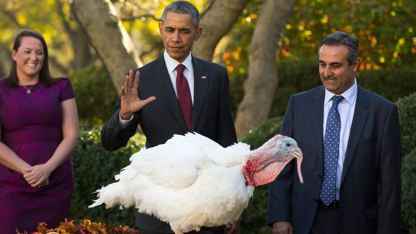 President Obama pardons National Presidential Turkey from the Central ...