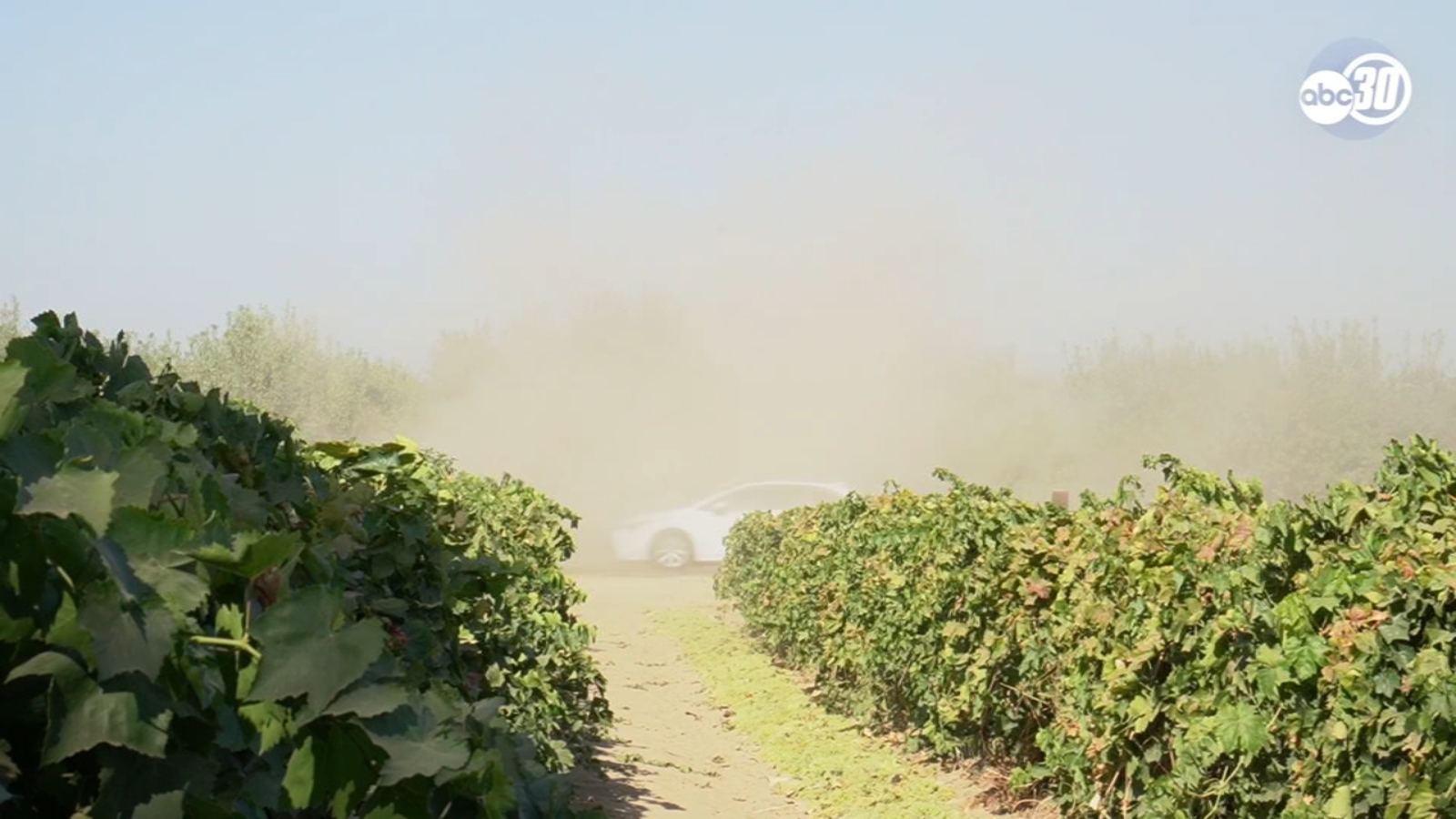Know the Road with the CHP: Driving through dust - ABC30 Fresno