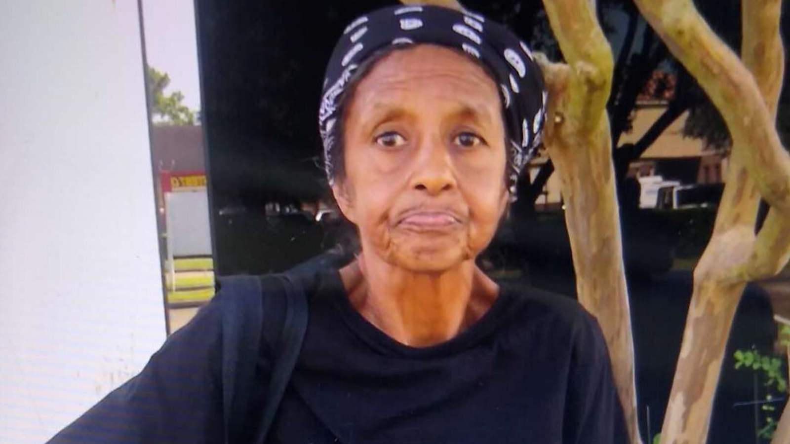 LOCATED: Lynn Clay, 65-year-old woman with dementia, reported missing ...