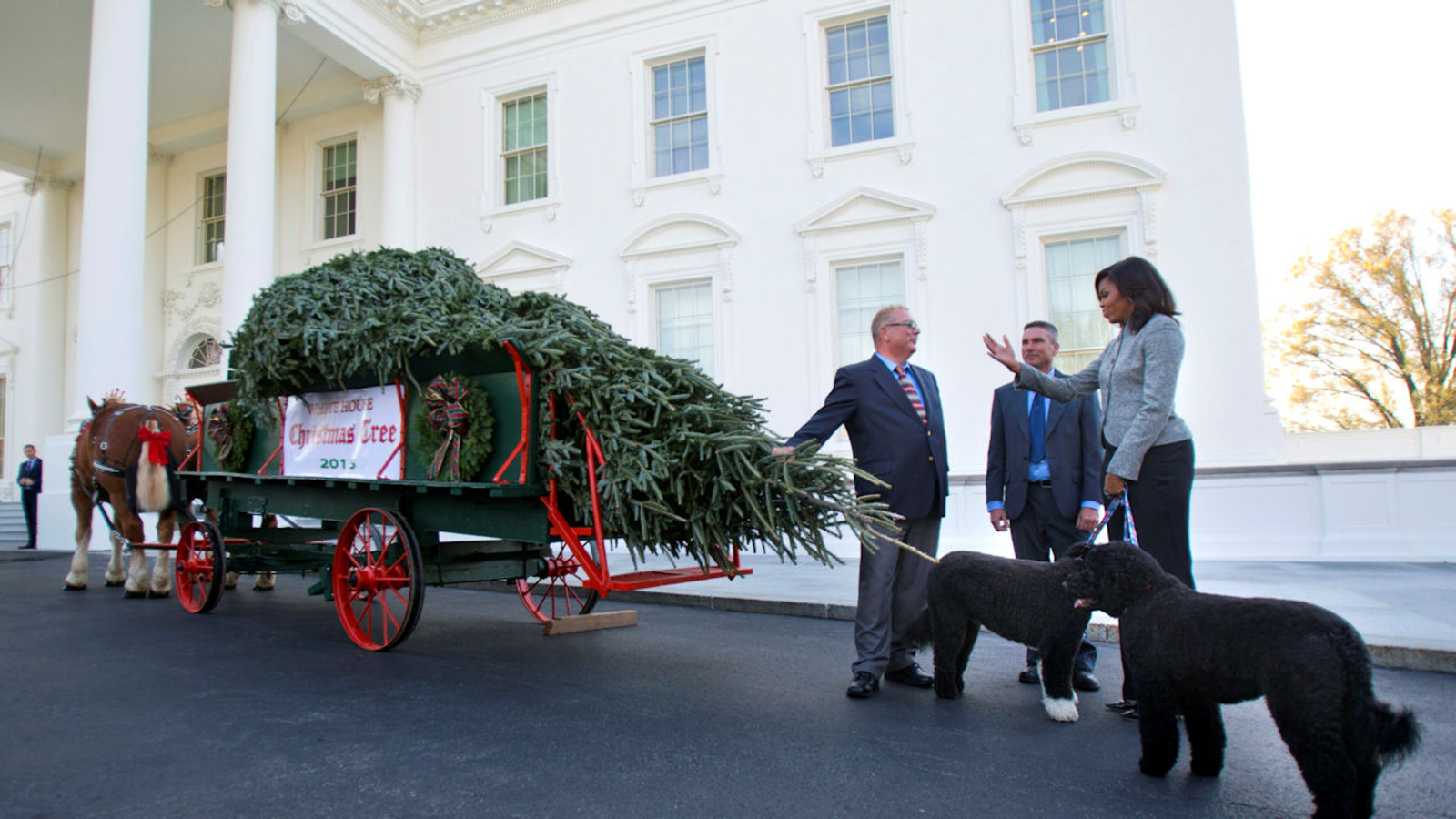 Michelle, Bo and Sunny Obama receive White House Christmas Tree - ABC7 ...