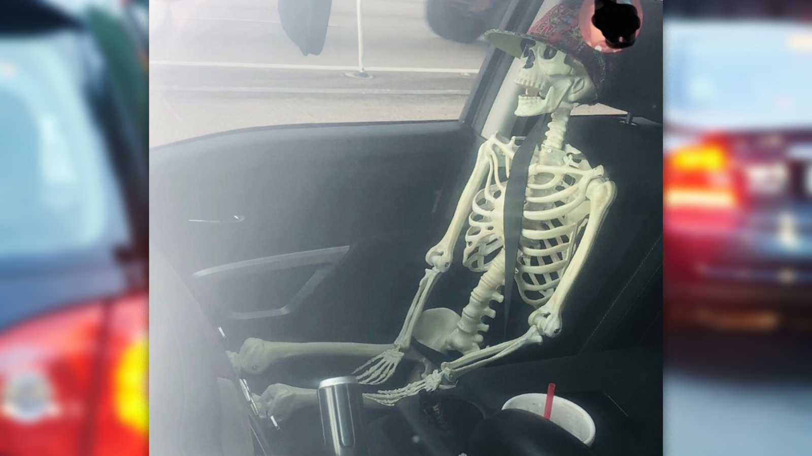 Houston driver caught with buckled-in skeleton posing as passenger in ...
