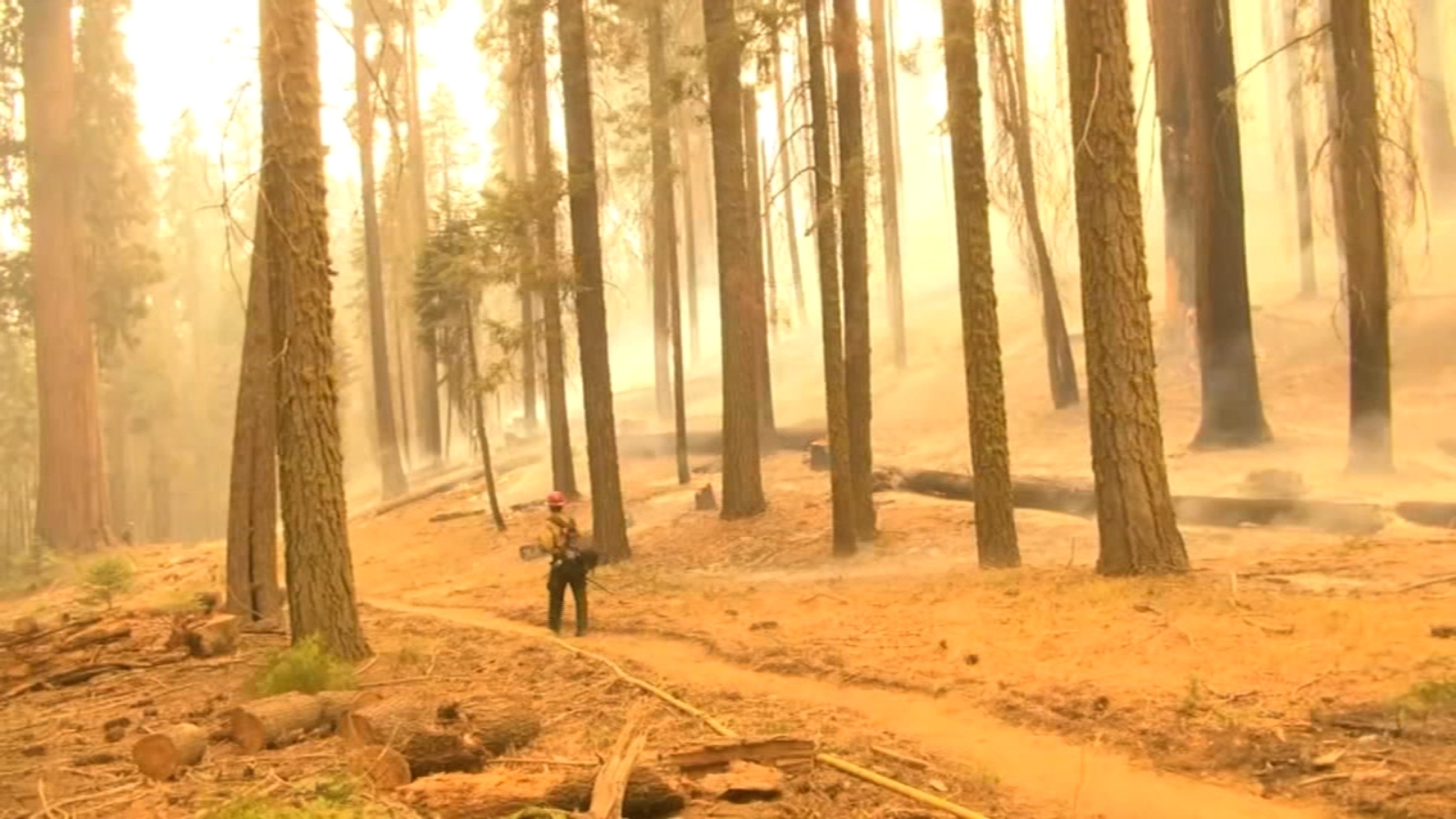 Windy Fire: Some evacuation orders reduced to warnings; wildfire at 35% ...