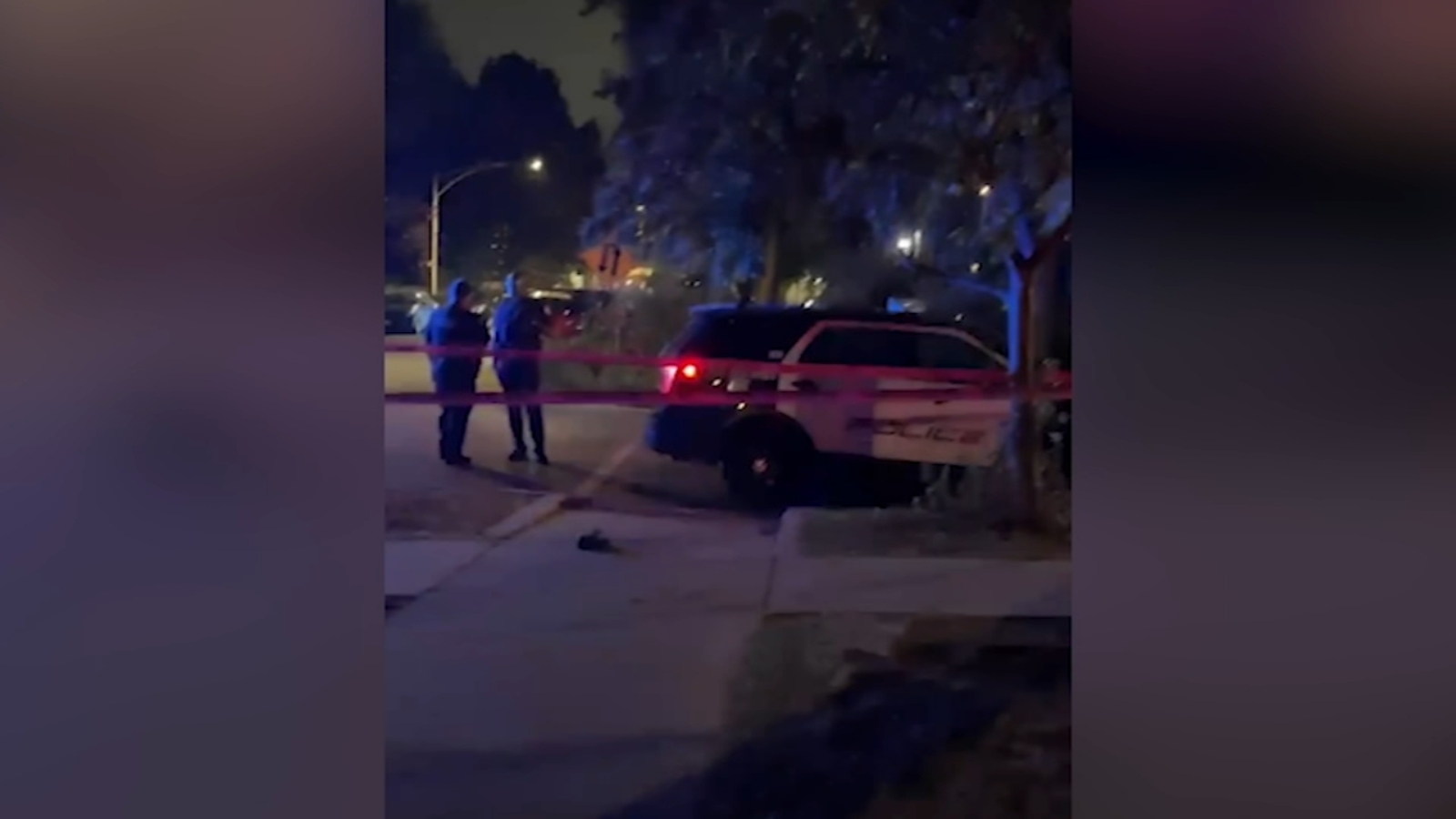 Chicago carjacking: Toni Preckwinkle criticized for handling of 2 ...