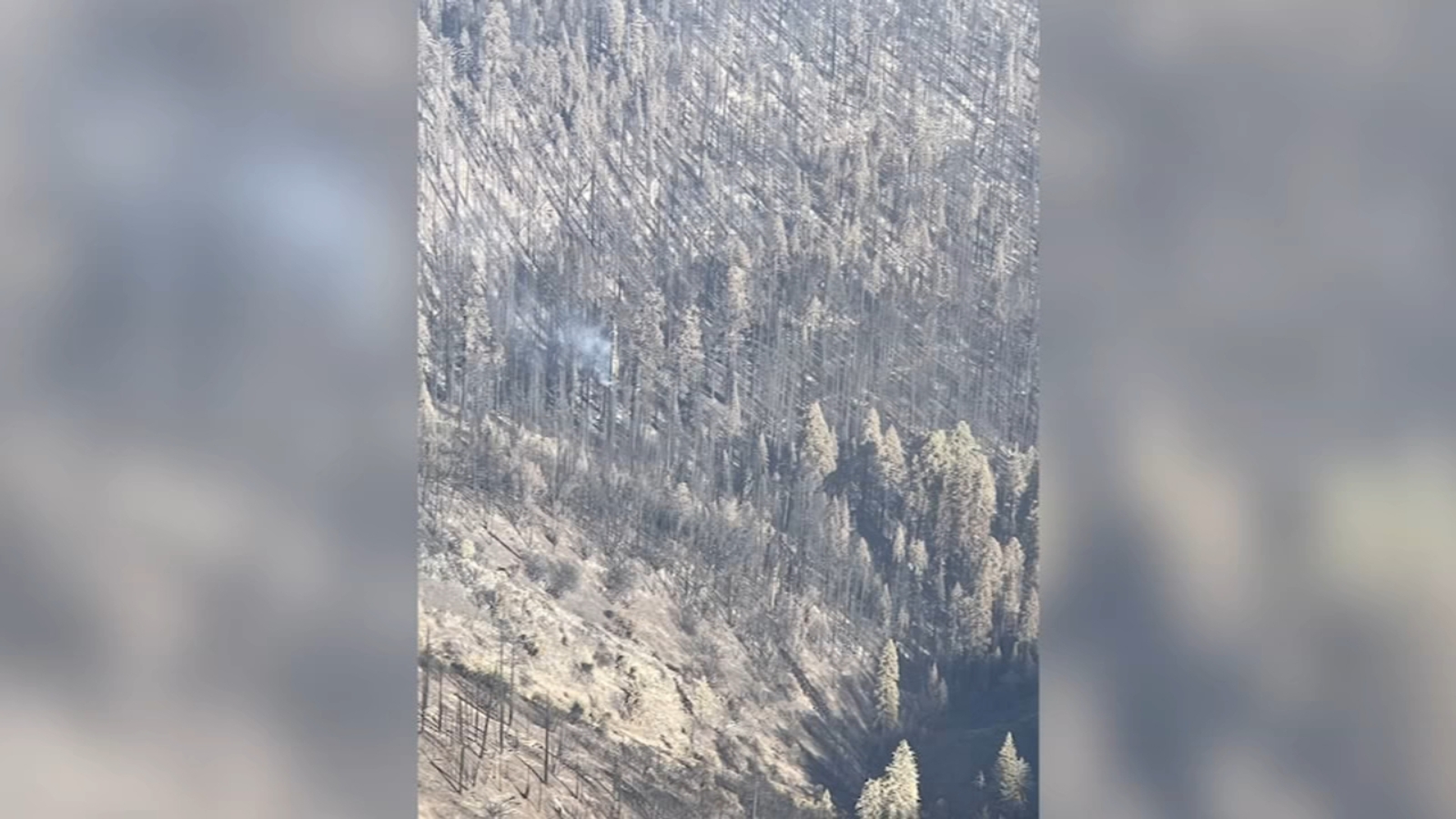 KNP Complex Fire update: More evacuation orders, warnings lifted for some Tulare County ...