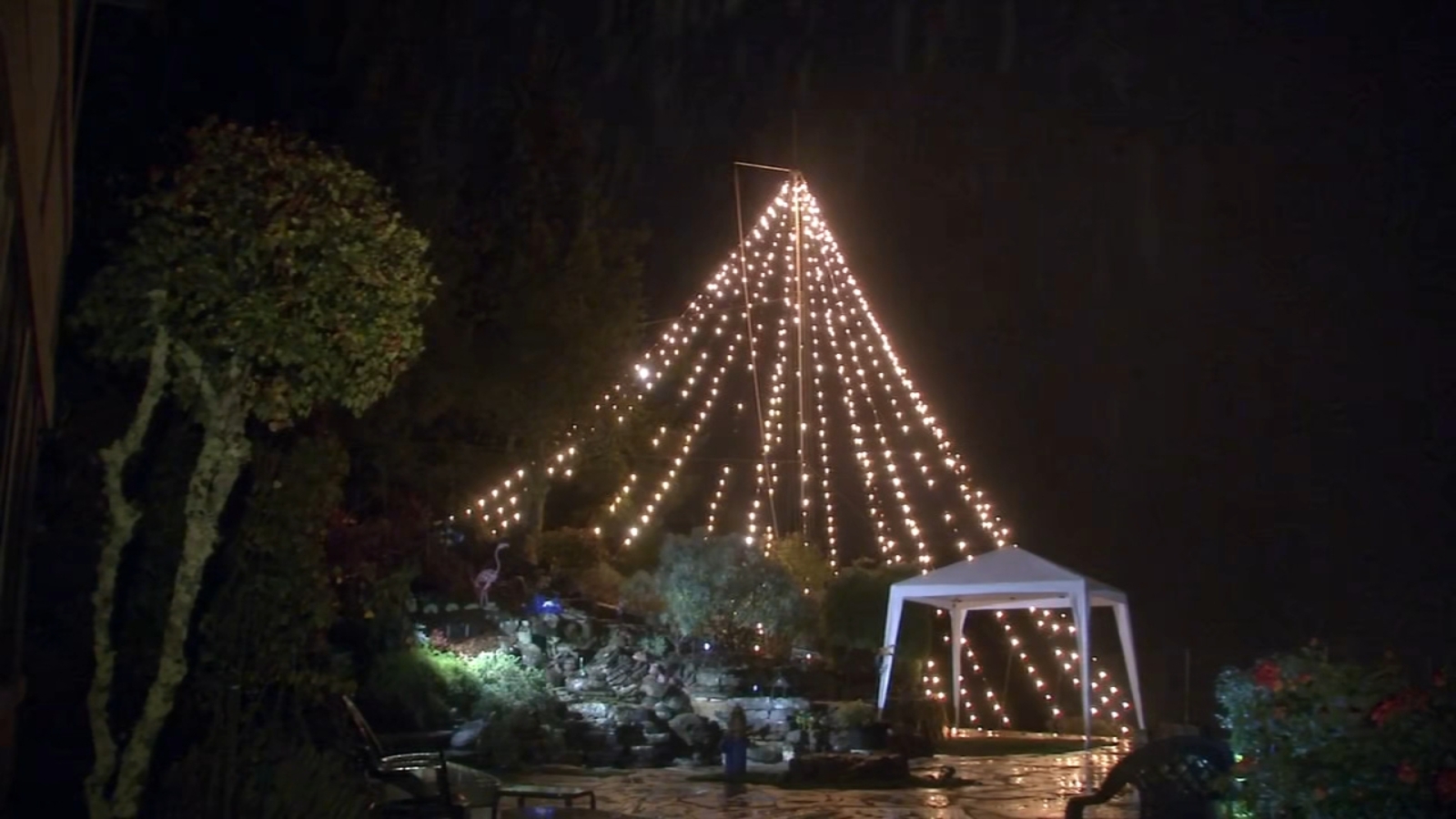 'Tree of Hope' remembers Oakland Hills Firestorm on 30 year anniversary ...