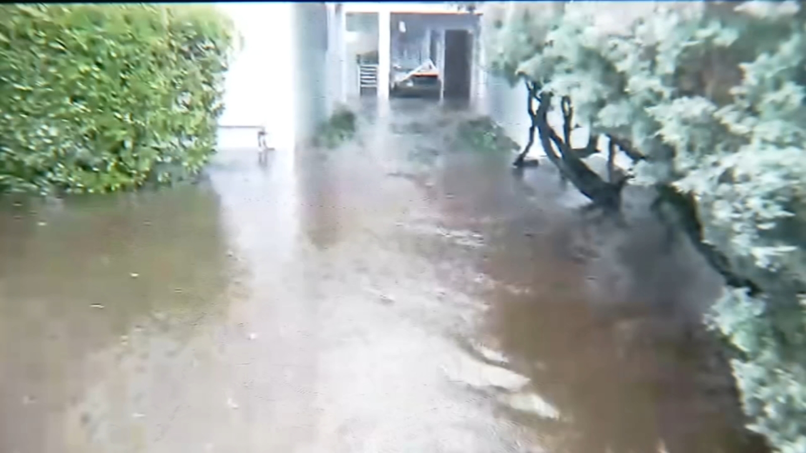 Bay Area storm: Santa Rosa residents describe agonizing moment they ...